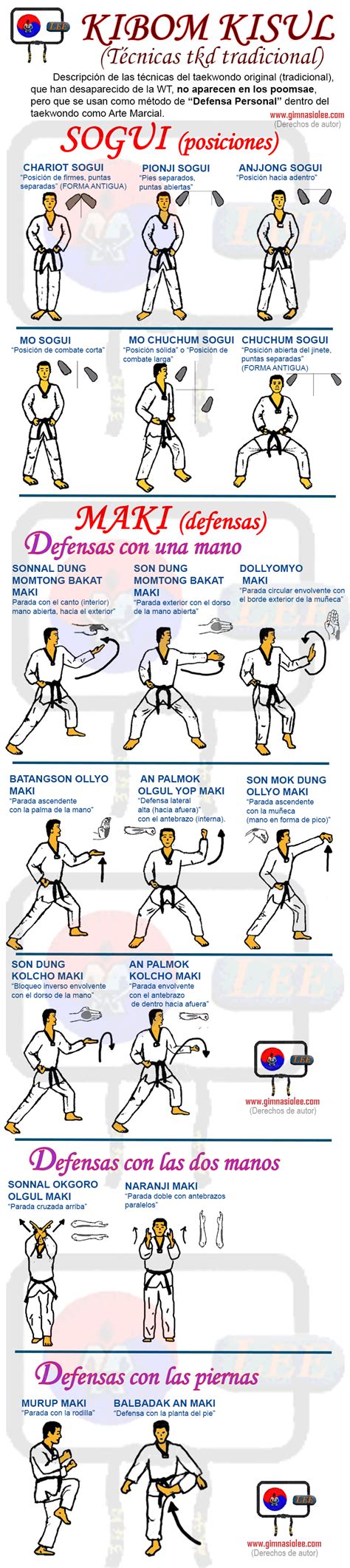 TÉcnica Tradicional Taekwondo