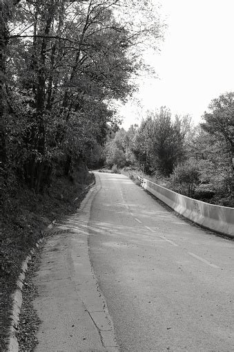 흑백의 나무 사이로 구불구불한 길 숲 사이로 구부러진 아스팔트 도로 시골 고속도로의 흑인과 백인 이미지입니다 양쪽에 나무가 있는 텅 빈 길 숲이 우거진 지역의 곡선 포장