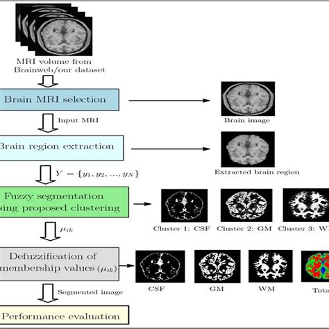 pseudo‐code for the proposed segmentation method download scientific