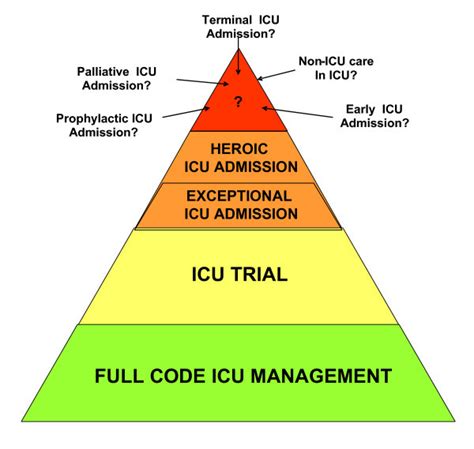 Alternative To Icu Refusal In Cancer Patients Proposed For Icu Admission Download Scientific
