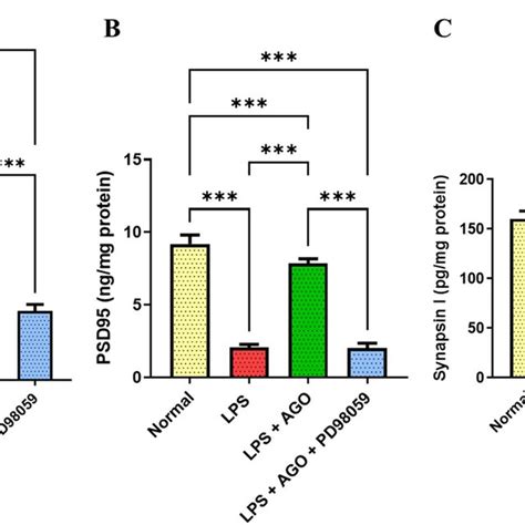 Effect Of Ago On Hippocampal Synaptophysin Psd95 And Synapsin I Download Scientific Diagram