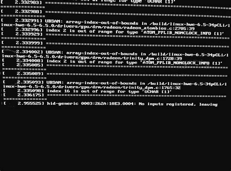 Grub2 Ubsan Array Index Out Of Bounds Message Whenever I Boot The