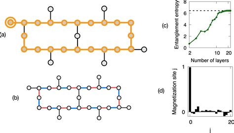 Research Team Simulates Super Diffusion On A Quantum Computer