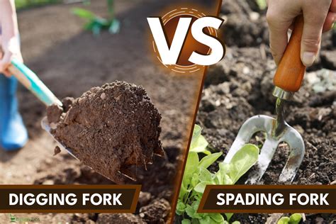 Spading Fork Vs Digging Fork Whats The Difference