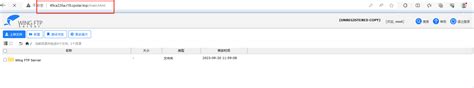 Wing FTP Server安装配置结合内网穿透实现公网访问本地站点 cpolar 极点云官网