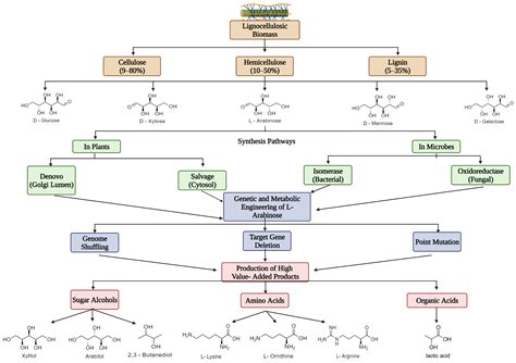 Arabinose Structure