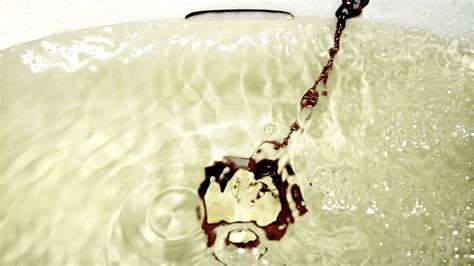 Drain Overflowing Heres What You Need To Know Fixed Today Plumbing