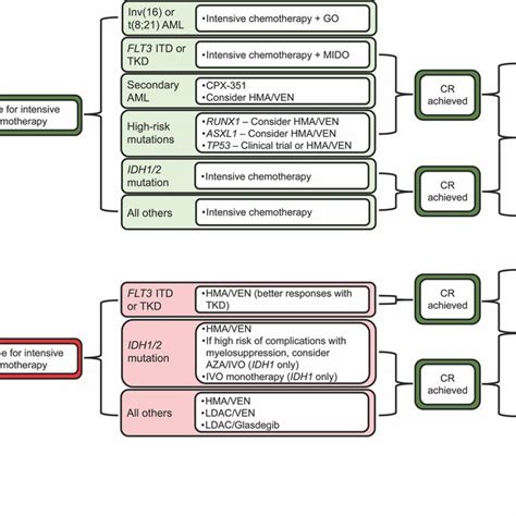 Treatment Algorithm For Newly Diagnosed Patients With Aml Fit For Download Scientific Diagram