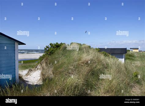 Kleine Strandhütten Am Strand Von Skanoer Skanoer Skane Südschweden Schweden Stockfotografie