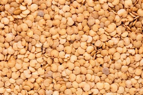 Premium Photo High Quality Seeds Of Eggplant Vegetable In A Texture