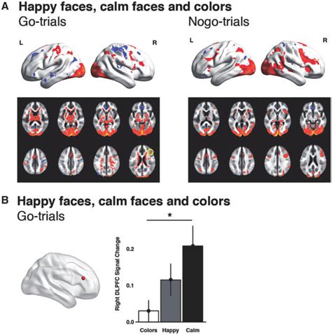 Fmri Results For Facial Expressions Panel A Displays The Whole Brain Download Scientific