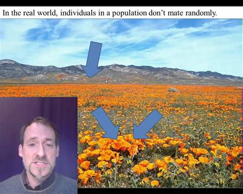 Nonrandom Mating Part 1 Youtube