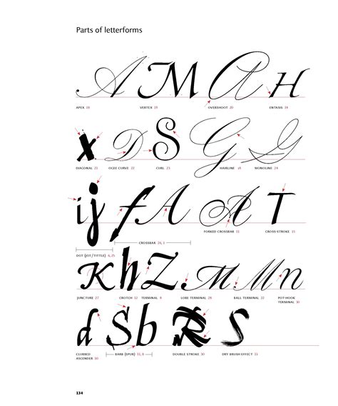Paul Shaw Letter Design Script Type Terminology A Preview Of A New Book