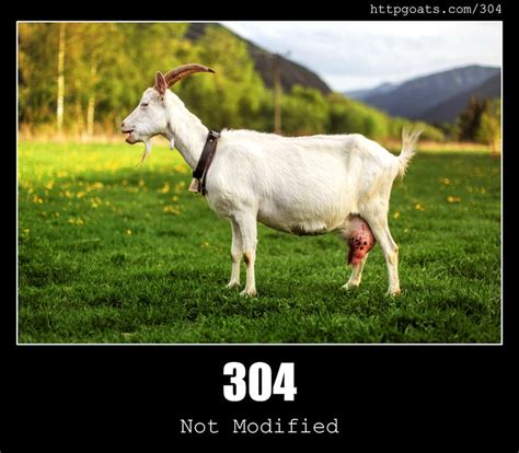 304 not modified status code and goats