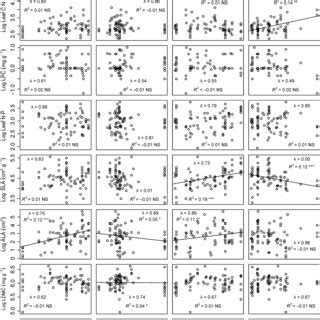 Relationships Between The Eight Leaf Traits And The First Two Axes Of Download Scientific