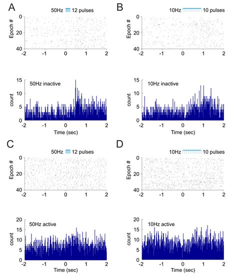 Medial Septum Regulates The Hippocampal Spatial Representation