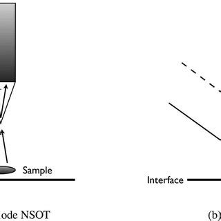 The Simplified Model Of The Collection Tip Download Scientific Diagram