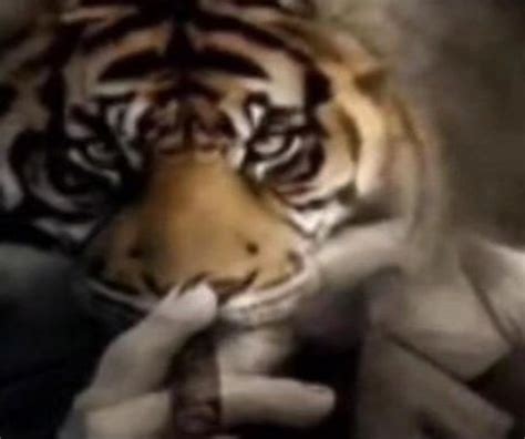 Create A Tierlist Br Efootball League Tier List Tiermaker