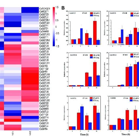 Csgst Gene Expression Pattern And Transcriptome Validation In Cucumber Download Scientific