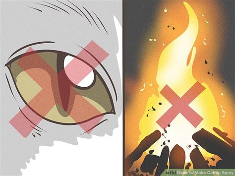 How To Make Catnip Spray 12 Steps With Pictures WikiHow