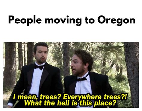 Treesandtreesandtrees Scrolller