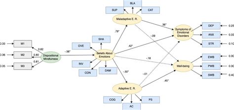 The Structural Model With A Standardized Solution Download Scientific