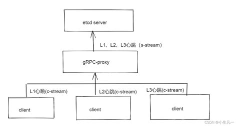 Etcd 的组件架构和内部通信小生凡一 Csdn Csdn博客