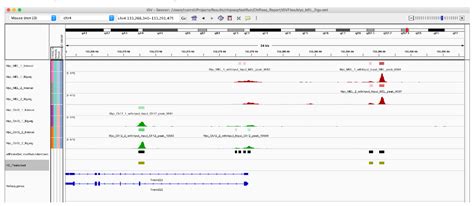 Chip Seq 分析：教程简介（1）chipseq数据分析 Csdn博客