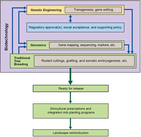 Biotechnology May Take Many Forms With Varying Regulatory Frameworks Download Scientific
