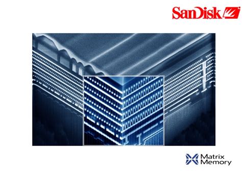 Matrix Semiconductor Reflections On Success