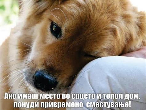 Заштита на животните Eden