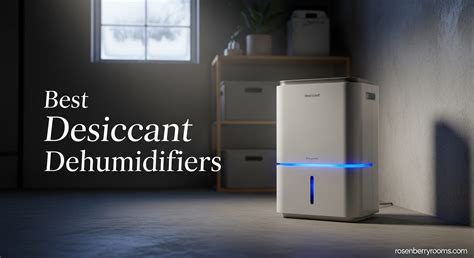 6 Best Desiccant Dehumidifiers Expert Picks For February 2026