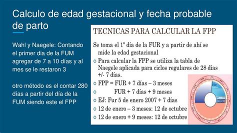Como Sacar La Edad Lunar Segun El Calendario Chino