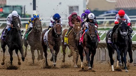 2025 Breeders Cup Sprint At A Glance Americas Best Racing