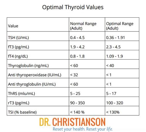 Thyroid Levels Artofit
