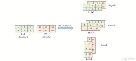 Pytorch Tensor拼接、切分、置换python Tensor拼接 Csdn博客