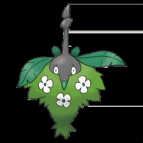 Wormadam Pokémon Wiki Fandom