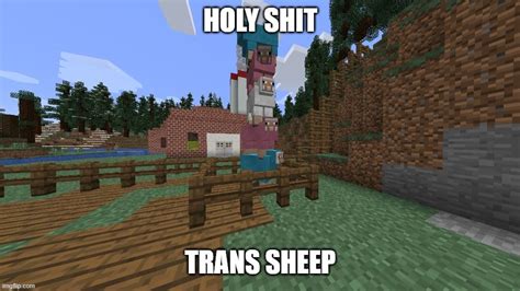 Trans Sheep Scrolller