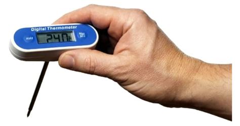 Understanding Correct Temperature Measurement Documentation Pineconeprep