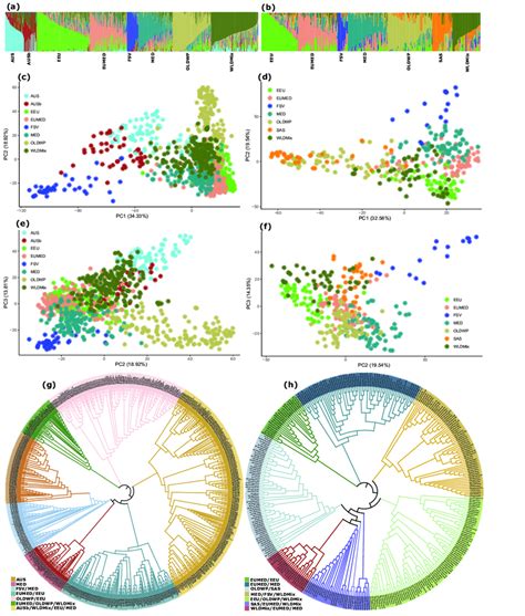 Population Structure Of The Exome Capture Datasets Containing All 921 Download Scientific