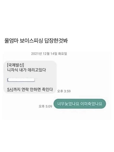 줍줍이 내내놔 1초라도안보이면 짤 ㅋㅋㅋ귀엽 내놔 일상 공유 공감 Instagram