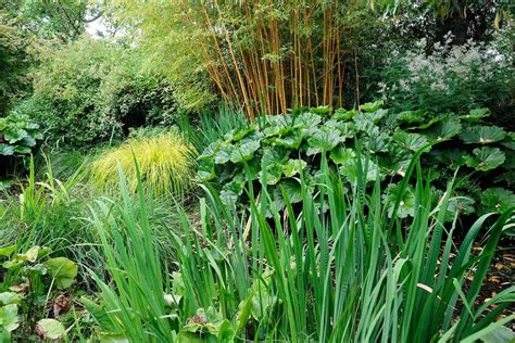 53 Bamboo Garden Ideas That Will Inspire You