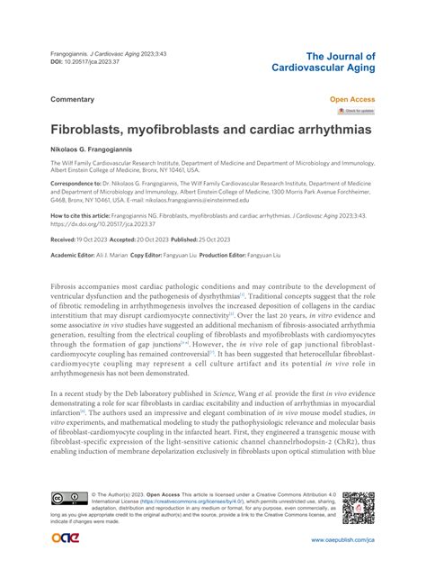 Pdf Fibroblasts Myofibroblasts And Cardiac Arrhythmias