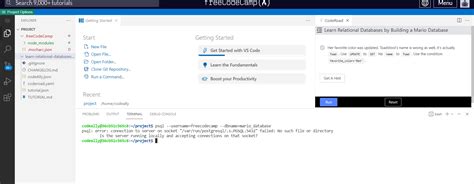 I Cant Connect To The Server Freecodecamp Support The Freecodecamp