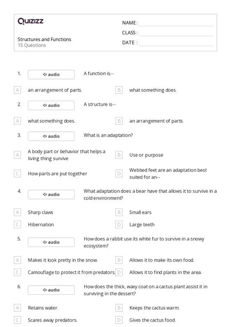 50 functions worksheets for 4th grade on quizizz free and printable