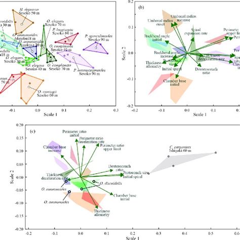 Nonmetric Multidimensional Scaling Of Nummulitids Based On Standardized Download Scientific