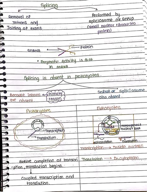 Molecular Basis Of Inheritance Handwritten Notes Pdf Download Shop