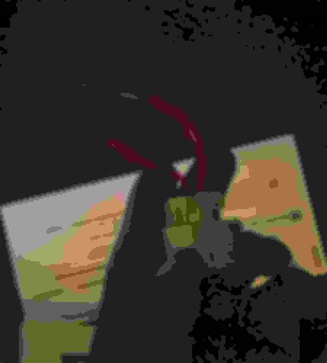 Knock Sensor Wiring Corvetteforum Chevrolet Corvette Forum Discussion