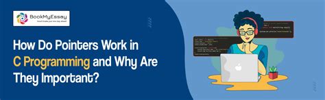 how do pointers work in c programming and why are they important