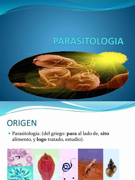 Parasitologia Medica Pdf Parasitismo Parasitología